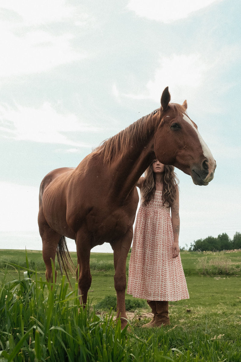 Friends of crow – World of Crow